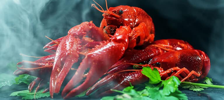 Tutto sull’astice! - Sapore di Mare