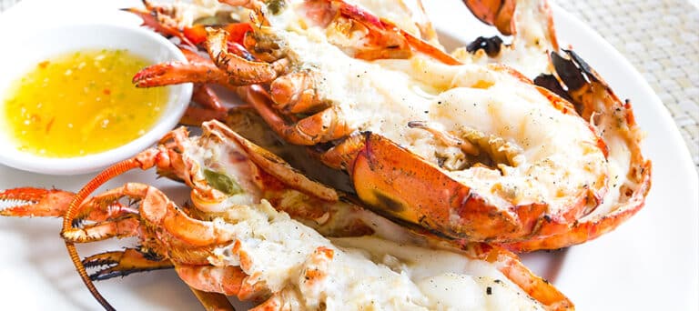 Tutto sull’astice! - Sapore di Mare